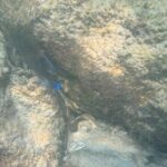 Private Snorkeling Excursion - FAQs