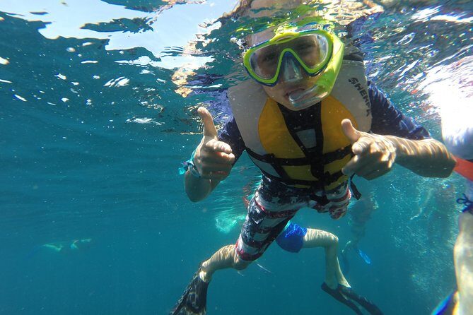 Private Snorkeling Tour in Cabo San Lucas - Practical Details & What to Expect