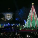 Private Special Christmas tour in Washington - A Detailed Look at the Tour