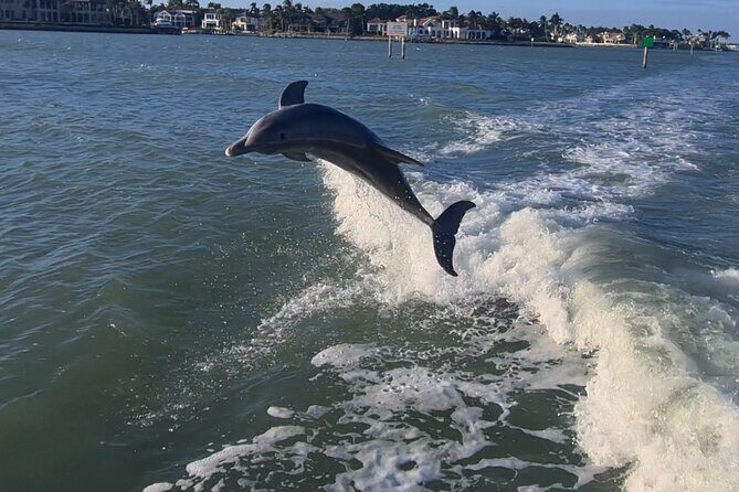 Private Sunset Cruise in Naples Bay - Why It’s a Great Value