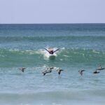 Private Surf Lesson in Punta Mita - Final Thoughts: Is It Worth It?
