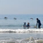 Private Surf Lesson in Santa Monica Bay St - The Value of a Private Lesson