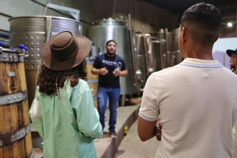 Private Tasting in Valle de Guadalupe Winery - Why Choose This Tour?