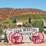 Private Temecula Wine Tour from Newport Beach - What’s Included and What’s Not