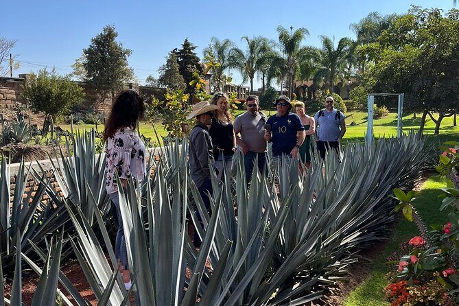 Private Tequila Tour with Local Expert - Deep Dive into the Experience