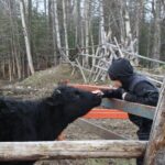 Private Tour at Historic Alaska Dairy Farm - Final Thoughts: Is It Worth It?