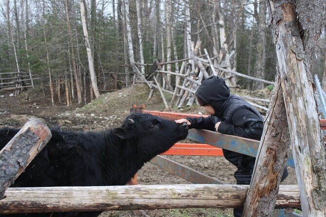 Private Tour at Historic Alaska Dairy Farm - Final Thoughts: Is It Worth It?