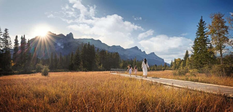 Private Tour: Canmore 2-Hour Guided Nature Walk - Why This Tour Stands Out in Canmore