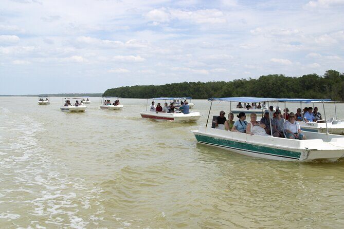 Private Tour: Celestun Biosphere Reserve by Yucatan Concierge - What Do Travelers Say?