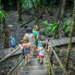 Private Tour Cozumel your way Jeep 4x4 up to 4 People - An In-Depth Look at the Cozumel Jeep 4x4 Experience