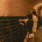 Private tour Freixenet Winery & Peña de Bernal - Who Should Consider This Tour?