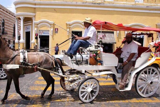 Private Tour Guide in Merida, 100% customisable - Authentic Reviews and Insights