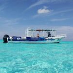 Private Tour in Cozumel El Cielo Sandbar and Reef Snorkeling - What Makes This Tour Stand Out?
