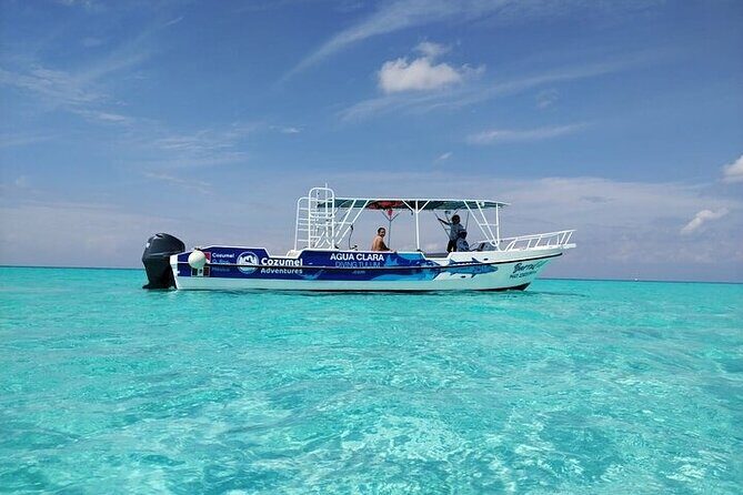 Private Tour in Cozumel El Cielo Sandbar and Reef Snorkeling - What Makes This Tour Stand Out?