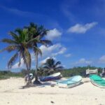 Private Tour in Cozumel in your own way Groups up to 14 People - Who Should Consider This Tour?