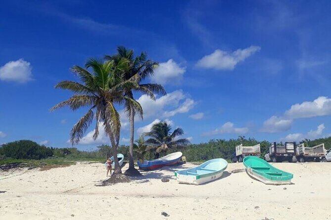 Private Tour in Cozumel in your own way Groups up to 14 People - Who Should Consider This Tour?