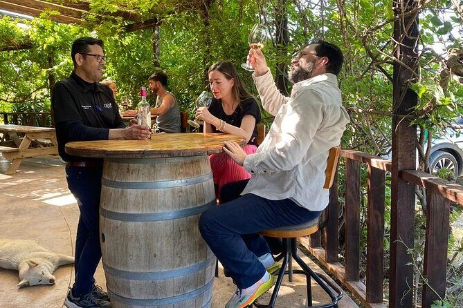 Private Tour in Guadalupe Valley, Vine Yards & Wine Route ENS MX - Who This Tour is Perfect For