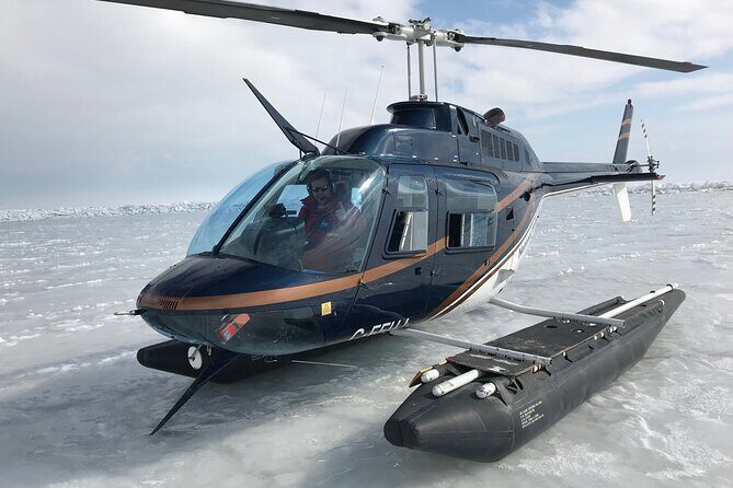 Private Tour: Niagara Falls Helicopter Flight - Who Is This Tour Best For?