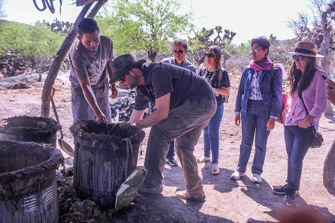 Private Tour of the Mezcal Route with Ancestral Drinks - The Value in Context