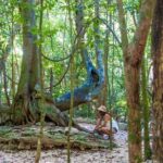 Private tour of Tulum Archaeological Site & Sian Ka'an Muyil - Why Value Matters