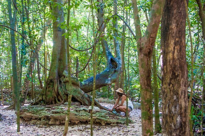Private tour of Tulum Archaeological Site & Sian Ka'an Muyil - Why Value Matters