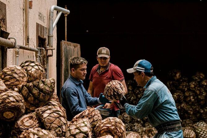 Private Tour one day of Adventure in Tequila and Tequilera Cascahuin - Authentic Experiences and Traveler Insights
