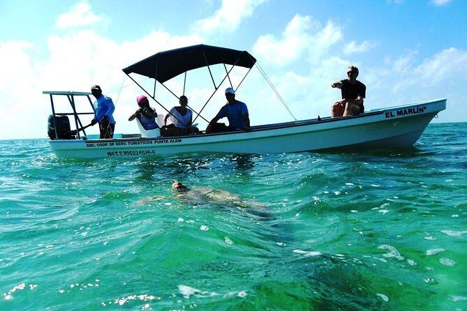 Private tour - Sian Ka´an Adventure - What Past Travelers Say