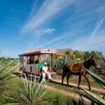 Private Tour: Sotuta de Peon Hacieda Day Trip - FAQ