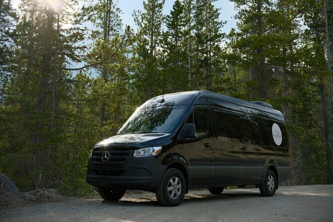 Private Tour to Moraine Lake, Louise, Emerald and Takkakaw Falls - Transportation: Comfort and Convenience