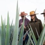 Private Tour to Tequila Ocho Distillery and the Town of Arandas - The Exclusive Tasting of Tequila Ocho
