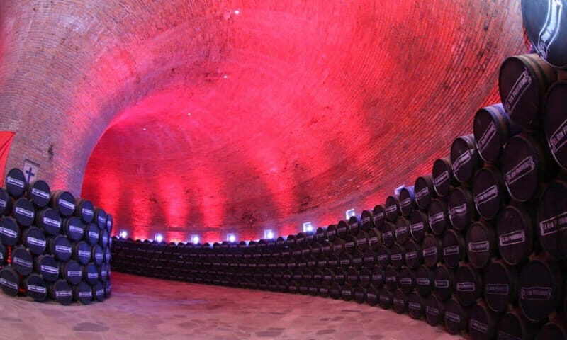 Private Tour to Tequilera Corralejo and Piramides Zone - What Makes This Tour Stand Out?