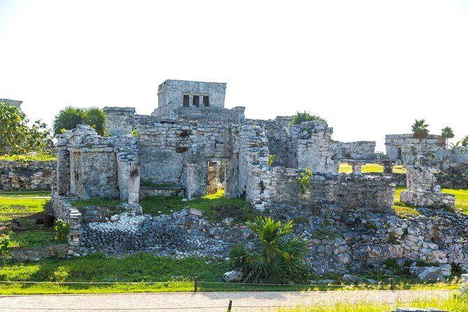 Private Tour to Tulum Ruins, Swim with turtles and Cenote Cave - What Makes This Tour Stand Out