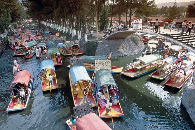 Private Tour: Xochimilco Coyoacan and Frida Kahlo's Museum and house - Exploring the Heart of Mexico City: A Close-Up on the Days Highlights