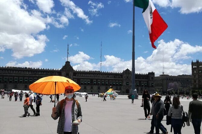 Private Tour Zocalo and Basilica of Guadalupe. With driver and guide - Who Will Love This Tour?