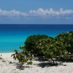 Private Transfer-Cancun Airport-Playa del Carmen One Way - What to Expect on Your Journey