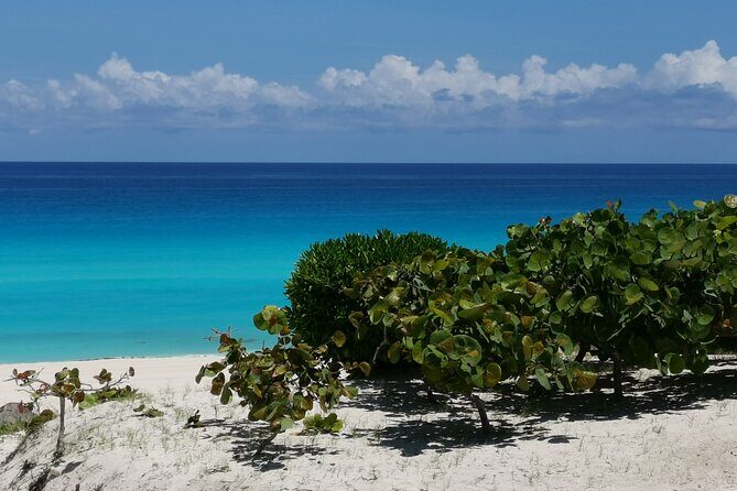 Private Transfer-Cancun Airport-Playa del Carmen One Way - What to Expect on Your Journey