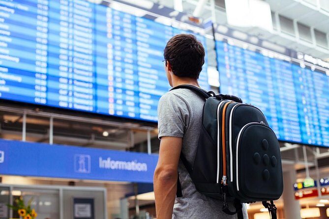 Private Transfer from Tampa Airport (TPA) - Reliability and Traveler Experiences