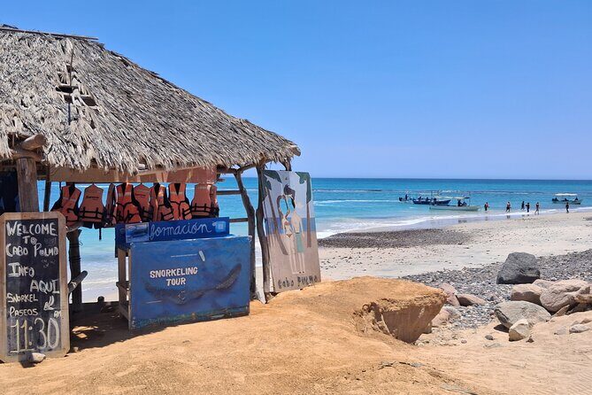 Private Transportation at VAN Airport Los Cabos - Cabo Pulmo Park - The Ride Experience