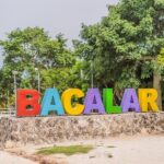 Private Transportation: Tulum to Bacalar with Optional Stop - The Journey from Tulum to Bacalar: What to Expect