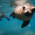Private Trip Espiritu Santo Island - The Itinerary Breakdown