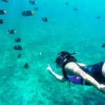 Private trip: snorkeling at Los Arcos & Colomitos beach - Practical Details and Tips for Travelers
