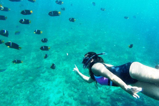 Private trip: snorkeling at Los Arcos & Colomitos beach - Practical Details and Tips for Travelers