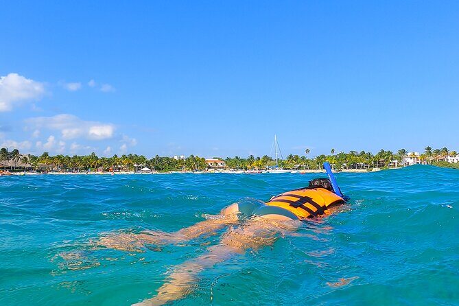 Private Tulum Akumal Cenotes Experience - A Deep Dive into the Tour Itinerary