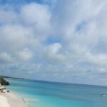 Private Tulum & Cenotes tour - Snorkeling in Casa Cenote: A Natural Marvel