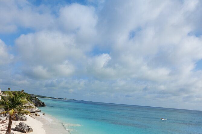 Private Tulum & Cenotes tour - Snorkeling in Casa Cenote: A Natural Marvel