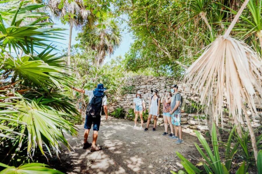 Private Tulum Ruins & Underground Cenote with Lunch Included - Who Is This Tour Best For?