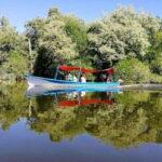 -Private Turtle Release Lagoon Boat Ride &High Divers Exprce - The Value Proposition