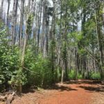 Private Upcountry Hiking Tour - Summing It Up: Who Will Love This Tour?