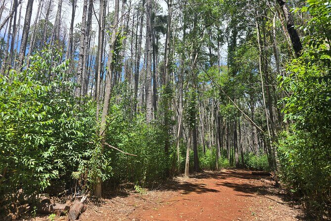 Private Upcountry Hiking Tour - Summing It Up: Who Will Love This Tour?