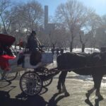 Private Walking Tour: Jewish Colonial History in New York City - Why This Tour Offers Great Value